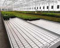 China ABS Moving Seedbed for Multi-Span Greenhouses with 50x100mm Aluminum Frame and 2.8-3.0mm Thickness for sale