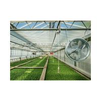 China Stainless Steel Industrial Exhaust Fan 400/500mm 50/60HZ for Greenhouse Ventilation Systems for sale