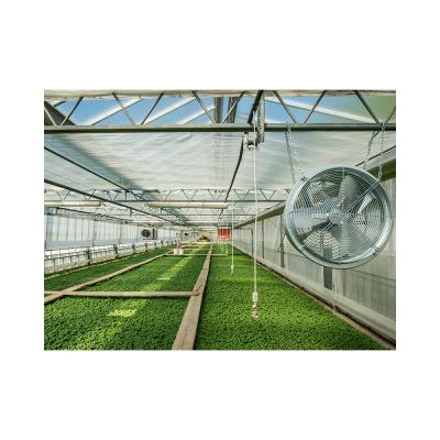 China Stainless Steel Industrial Exhaust Fan 400/500mm 50/60HZ for Greenhouse Ventilation Systems for sale