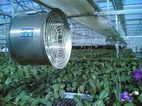 China Stainless Steel Industrial Exhaust Fan 400/500mm 50/60HZ for Greenhouse Ventilation Systems for sale