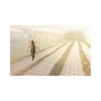 China Single-Layer Insect-Proof Mesh Agricultural Greenhouse with 17-30 GSM Thickness and 320cm Width Options for sale