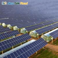China Venlo Type Multi-Span Photovoltaic Solar Glass Greenhouse with 6-12m Spans and Customized Lengths up to 100m for sale