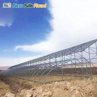 China Venlo Type Multi-Span Photovoltaic Solar Glass Greenhouse with 6-12m Spans and Customized Lengths up to 100m for sale