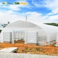 China Single Span Plastic Film Greenhouse 5-12m Span with 20-100m Length Options for Agricultural Plant Cultivation for sale