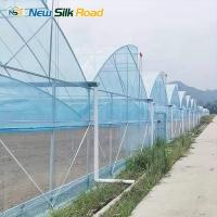 China Sawtooth Multi-Span Agricultural Film Greenhouse 8m-12m Span with 0.6kN Wind Load and Hot-Dip Galvanized Steel Frame for sale