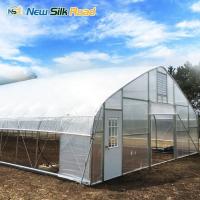 China Single Span Plastic Film Greenhouse 5-12m Span with 20-Year Galvanized Frame for Strawberry Farming for sale