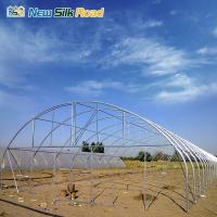 China Single Span Plastic Film Greenhouse 5-12m Span with 20-Year Galvanized Frame for Strawberry Farming for sale