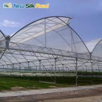 China NSR Sawtooth Multi-Span Agricultural Film Greenhouse 8m-12m Span with 0.6kN Wind Load and Hot-Dip Galvanized Steel Frame for sale