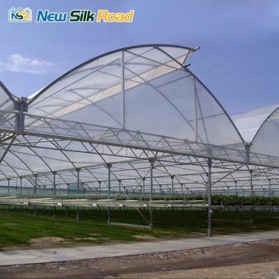 China NSR Sawtooth Multi-Span Agricultural Film Greenhouse 8m-12m Span with 0.6kN Wind Load and Hot-Dip Galvanized Steel Frame for sale