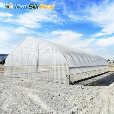 China NSR Single Span Plastic Film Greenhouse with 5-12m Span Options and 20-Year Galvanized Steel Frame for Agricultural Use for sale