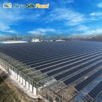 China Venlo Type Multi-Span Photovoltaic Solar Glass Greenhouse 6m-12m Span with 1.2kn/㎡ Wind Load and Custom Solar Panels for sale