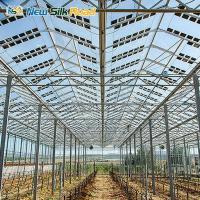 China Venlo Type Multi-Span Photovoltaic Solar Glass Greenhouse 6m-12m Span with 1.2kN Wind Load and Solar Power Generation for sale