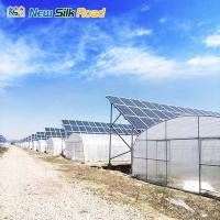 China Single-Span Photovoltaic Film Greenhouse 6-12m Span with Solar Power Generation for Agriculture and Horticulture for sale