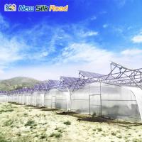 China Single-Span Photovoltaic Film Greenhouse 6-12m Span with Solar Power Generation for Agriculture and Horticulture for sale
