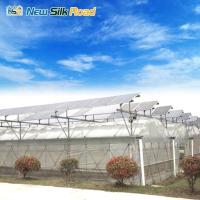 China Single-Span Photovoltaic Film Greenhouse 6-12m Span with Solar Power Generation for Agriculture and Horticulture for sale