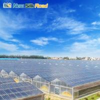 China NSR Venlo Type Multi-Span Photovoltaic Solar Glass Greenhouse 6m-12m Span with 1.2kN Wind Load for sale