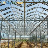 China NSR Venlo Type Multi-Span Photovoltaic Solar Glass Greenhouse 6m-12m Span with 1.2kN Wind Load for sale