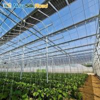 China NSR Venlo Type Multi-Span Photovoltaic Solar Glass Greenhouse 6m-12m Span with 1.2kN Wind Load for sale