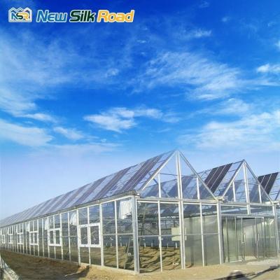 China Venlo Type Multi-Span Photovoltaic Solar Glass Greenhouse with 6-12m Span and 3.5-5.8m Roof Height for sale