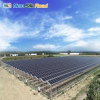 China Venlo Type Multi-Span Photovoltaic Solar Glass Greenhouse with 6-12m Span and 3.5-5.8m Roof Height for sale