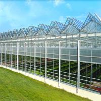 China Multi-Span Venlo Glass Greenhouse 6-12m Width with 5.5-7.5m Height for Agricultural Farming for sale