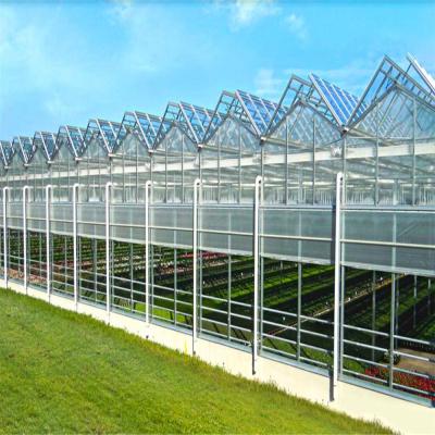 China Multi-Span Venlo Glass Greenhouse 6-12m Width with 5.5-7.5m Height for Agricultural Farming for sale