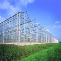 China Multi-Span Venlo Glass Greenhouse 6-12m Width with 5.5-7.5m Height for Agricultural Farming for sale
