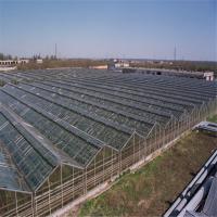 China Multi-Span Venlo Glass Greenhouse 6-12m Width with 5.5-7.5m Height for Agricultural Farming for sale