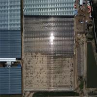 China Multi-Span Venlo Glass Greenhouse 6-12m Width with 5.5-7.5m Height for Agricultural Farming for sale
