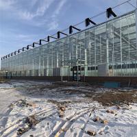 China Multi-Span Venlo Glass Greenhouse 6-12m Width with 5.5-7.5m Height for Agricultural Farming for sale