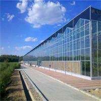 China Venlo Type Greenhouse 6-12m Span with Roof Ventilation for Hydroponics and Vegetable Cultivation for sale