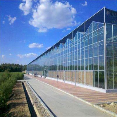 China Venlo Type Greenhouse 6-12m Span with Roof Ventilation for Hydroponics and Vegetable Cultivation for sale