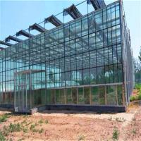 China Venlo Type Greenhouse 6-12m Span with Roof Ventilation for Hydroponics and Vegetable Cultivation for sale