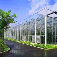 China Venlo Type Greenhouse 6-12m Span with Roof Ventilation for Hydroponics and Vegetable Cultivation for sale