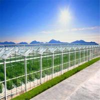 China Venlo Type Greenhouse 6-12m Span with Roof Ventilation for Hydroponics and Vegetable Cultivation for sale