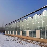 China Venlo Type Greenhouse 6-12m Span with Roof Ventilation for Hydroponics and Vegetable Cultivation for sale