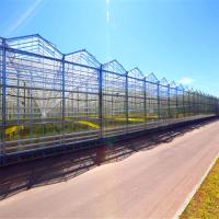 China Venlo Type Greenhouse 6-12m Span with Roof Ventilation for Hydroponics and Vegetable Cultivation for sale