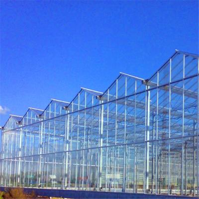 China Large Glass Greenhouse with Soilless Culture and Automatic Hydroponic Drip Irrigation - 6m to 12m Span Width, 3-5m Gutter Height for sale