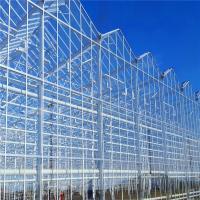 China Large Glass Greenhouse with Soilless Culture and Automatic Hydroponic Drip Irrigation - 6m to 12m Span Width, 3-5m Gutter Height for sale