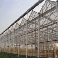 China Large Glass Greenhouse with Soilless Culture and Automatic Hydroponic Drip Irrigation - 6m to 12m Span Width, 3-5m Gutter Height for sale