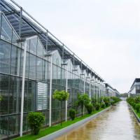 China Large Glass Greenhouse with Soilless Culture and Automatic Hydroponic Drip Irrigation - 6m to 12m Span Width, 3-5m Gutter Height for sale