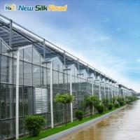 China Venlo Type Multi-Span Agricultural Glass Greenhouse with 4-5mm Tempered Glass Cover, 6-12m Spans, 1.2kN Wind Load for sale