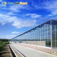 China Venlo Type Multi-Span Agricultural Glass Greenhouse 6-12m Span with 1.2kN Wind Load for Vegetable and Flower Cultivation for sale