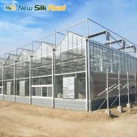 China Venlo Multi-Span Glass Greenhouse Kit 6-12m Span with Galvanized Steel Frame for Commercial Agriculture for sale