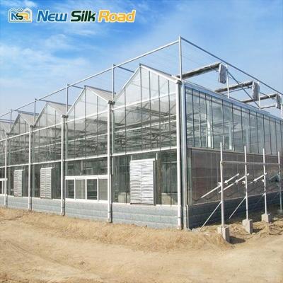 China Venlo Multi-Span Glass Greenhouse Kit 6-12m Span with Galvanized Steel Frame for Commercial Agriculture for sale