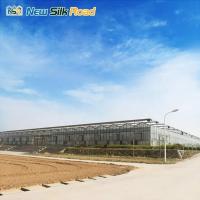 China Venlo Type Multi-Span Agricultural Glass Greenhouse with 6-12m Spans and 1.2kN Wind Load for Professional Farming for sale