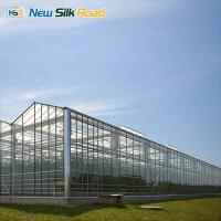 China Venlo Type Multi-Span Glass Greenhouse 6-12m Span with Hot-Dip Galvanized Steel Frame for Agricultural Cultivation for sale