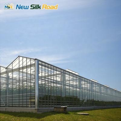 China Venlo Type Multi-Span Glass Greenhouse 6-12m Span with Hot-Dip Galvanized Steel Frame for Agricultural Cultivation for sale