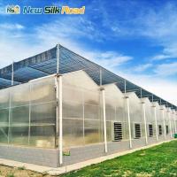 China Venlo Type Multi-Span Polycarbonate Greenhouse 6m-12m Span with 1.2kN Wind Load and Custom Height for sale