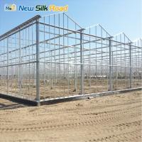 China Venlo Type Multi-Span Polycarbonate Greenhouse 6m-12m Span with 1.2kN Wind Load and Custom Height for sale